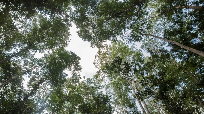 Disaster risk reduction | UNEP - UN Environment Programme
