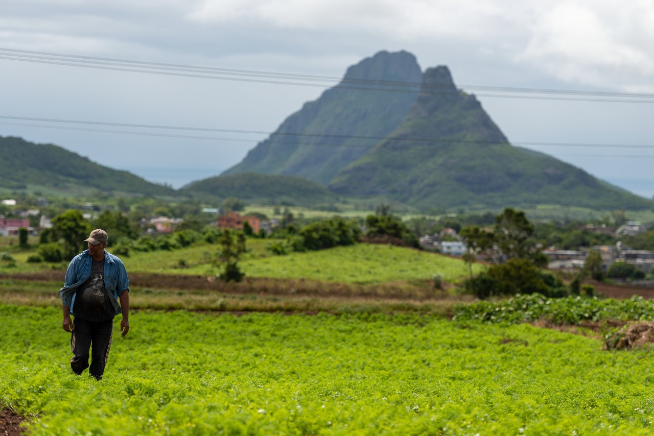 Mauritius | SWITCH Africa Green